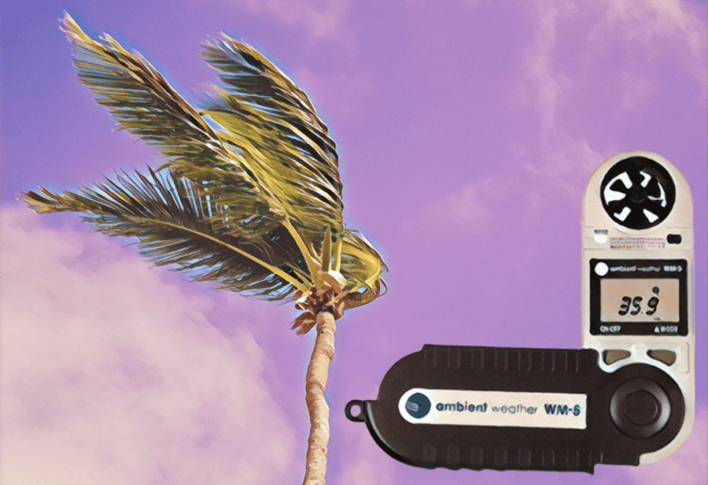 Abbreviation WX Means Weather (Meteorological Shortcuts)