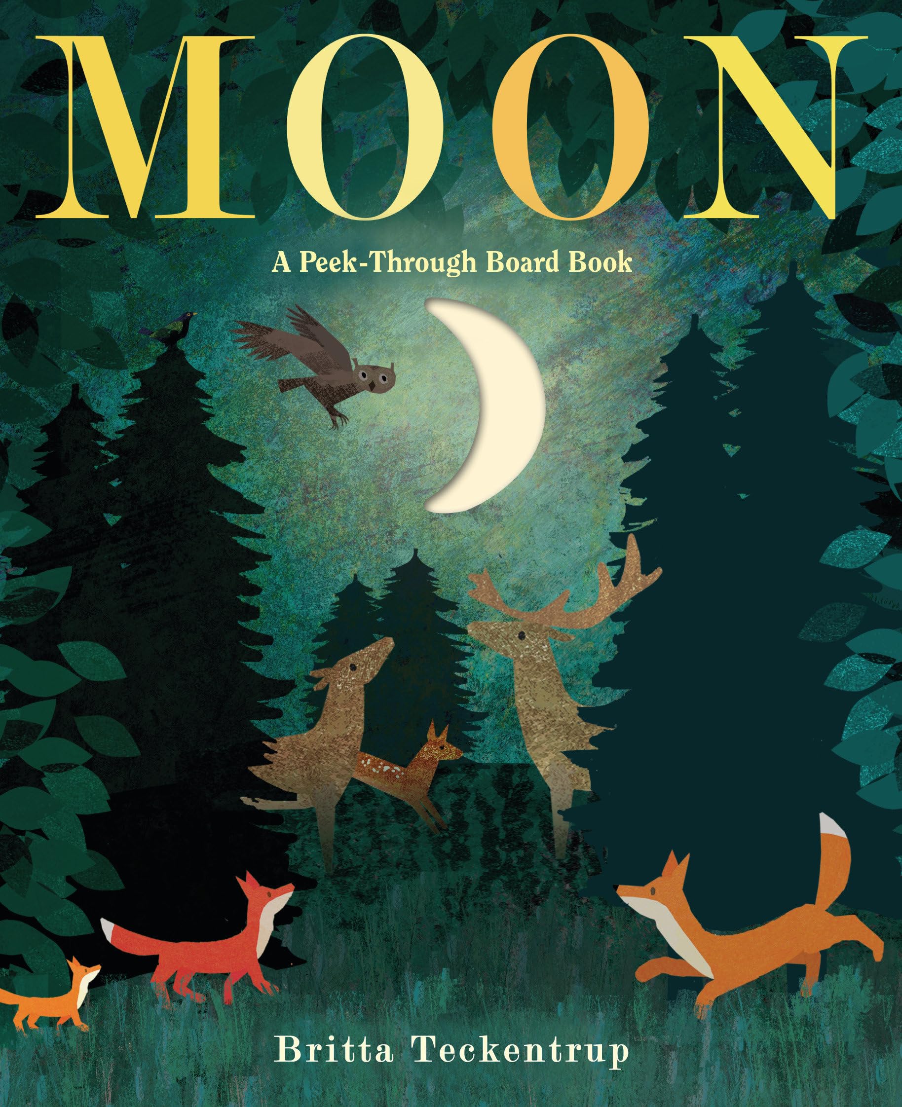 Best Books About the Moon: Top Reads for Lunar Enthusiasts